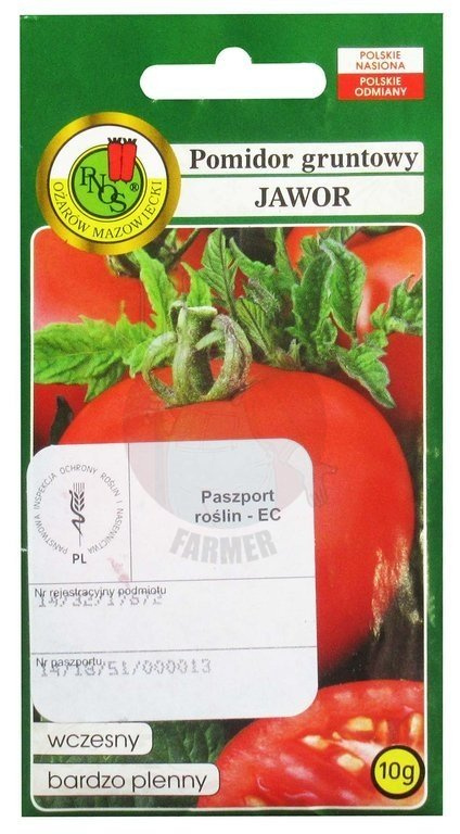 Pomidor gruntowy Jawor 10 g | Asortyment \ NASIONA \ WARZYWA